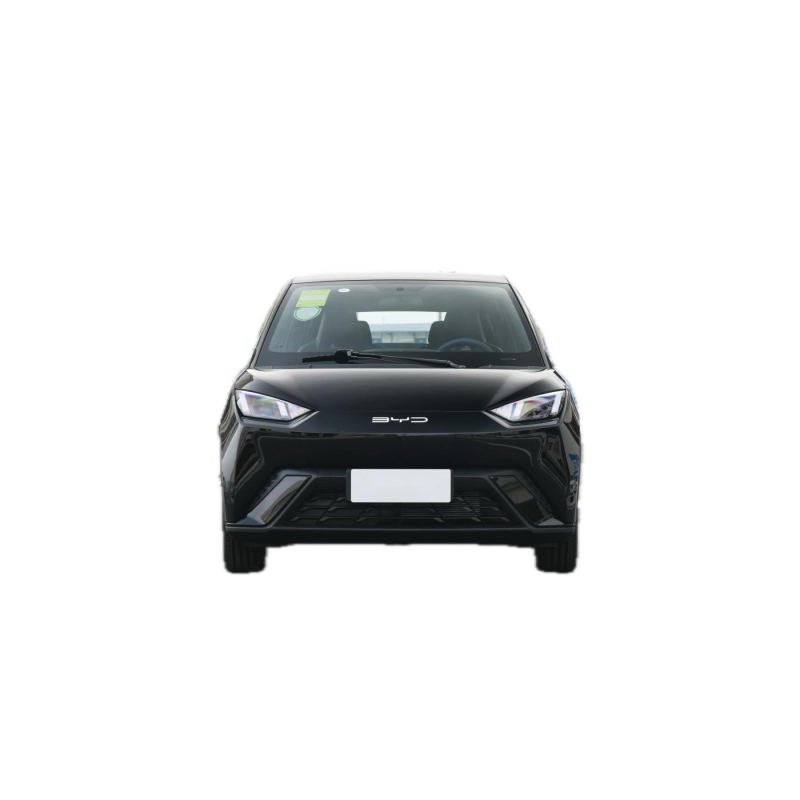 BYD Seagull (Flying Edition) Negro nocturno