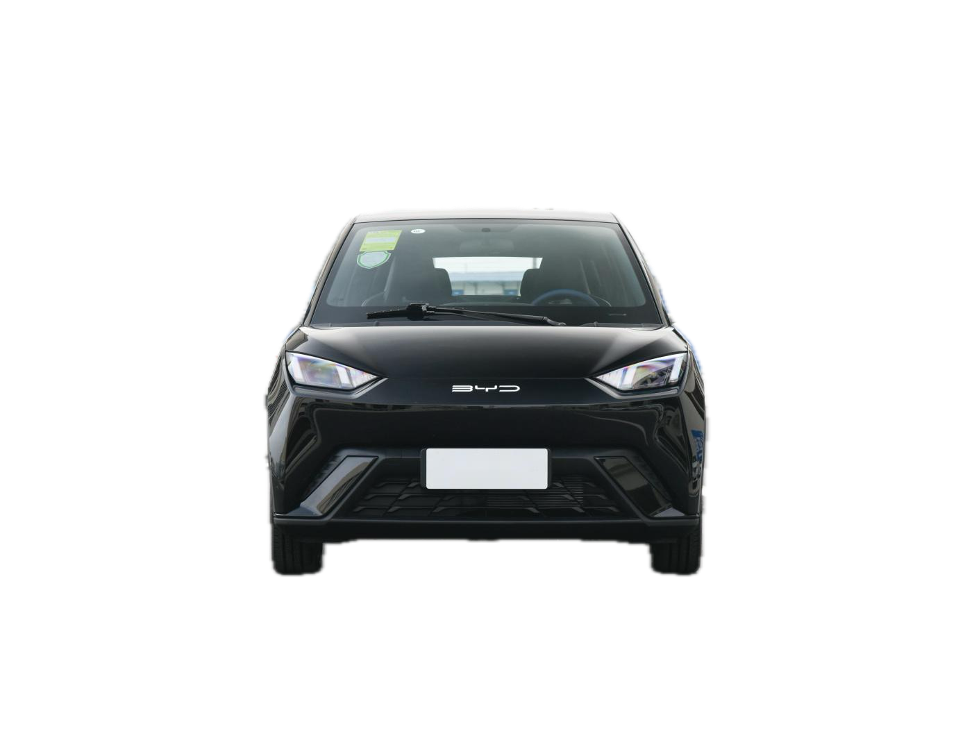 BYD Seagull (Flying Edition) Extreme night black